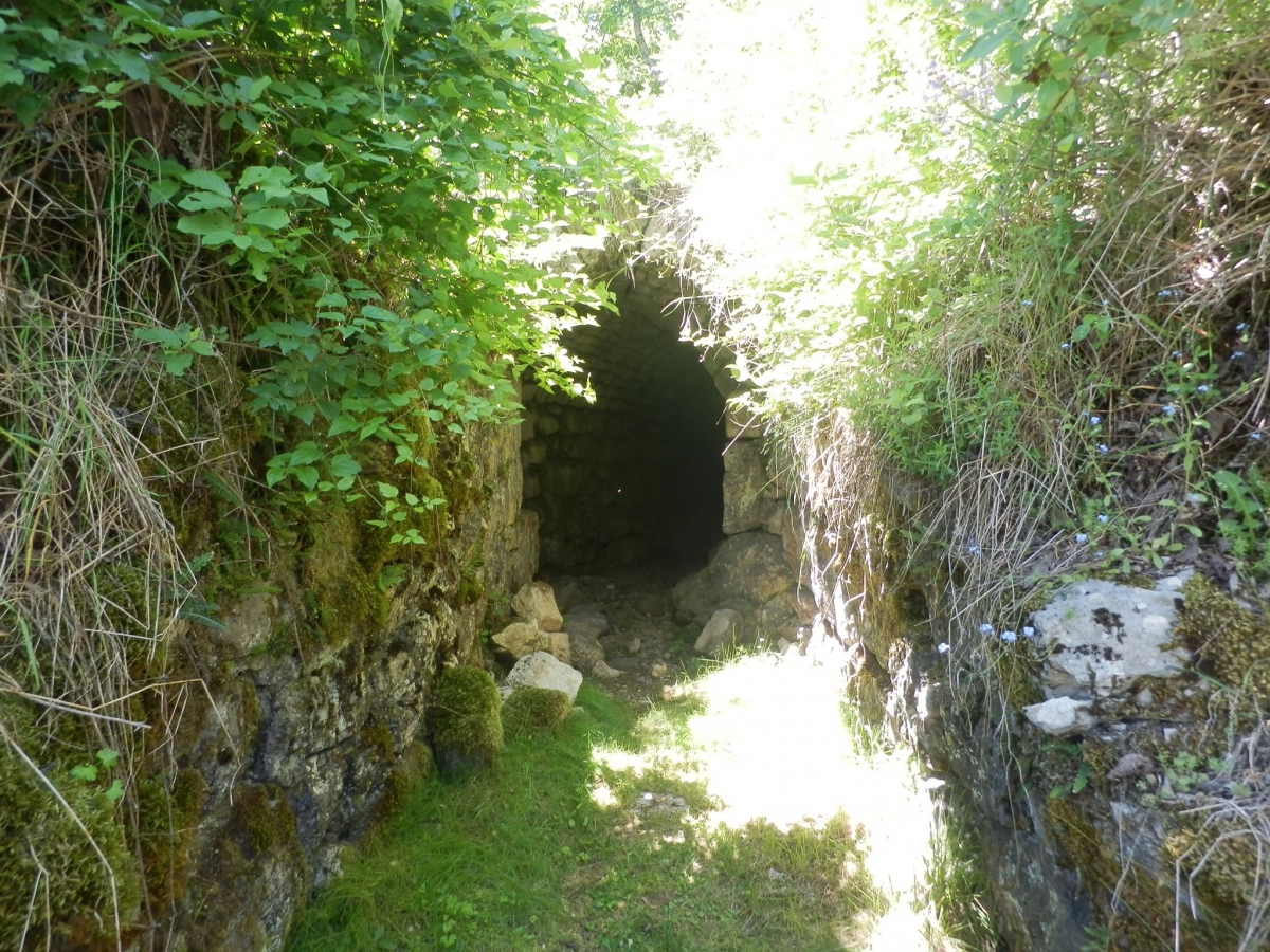 Vojvode Dakovića pećina cave, Grahovo polje – Cavebiology